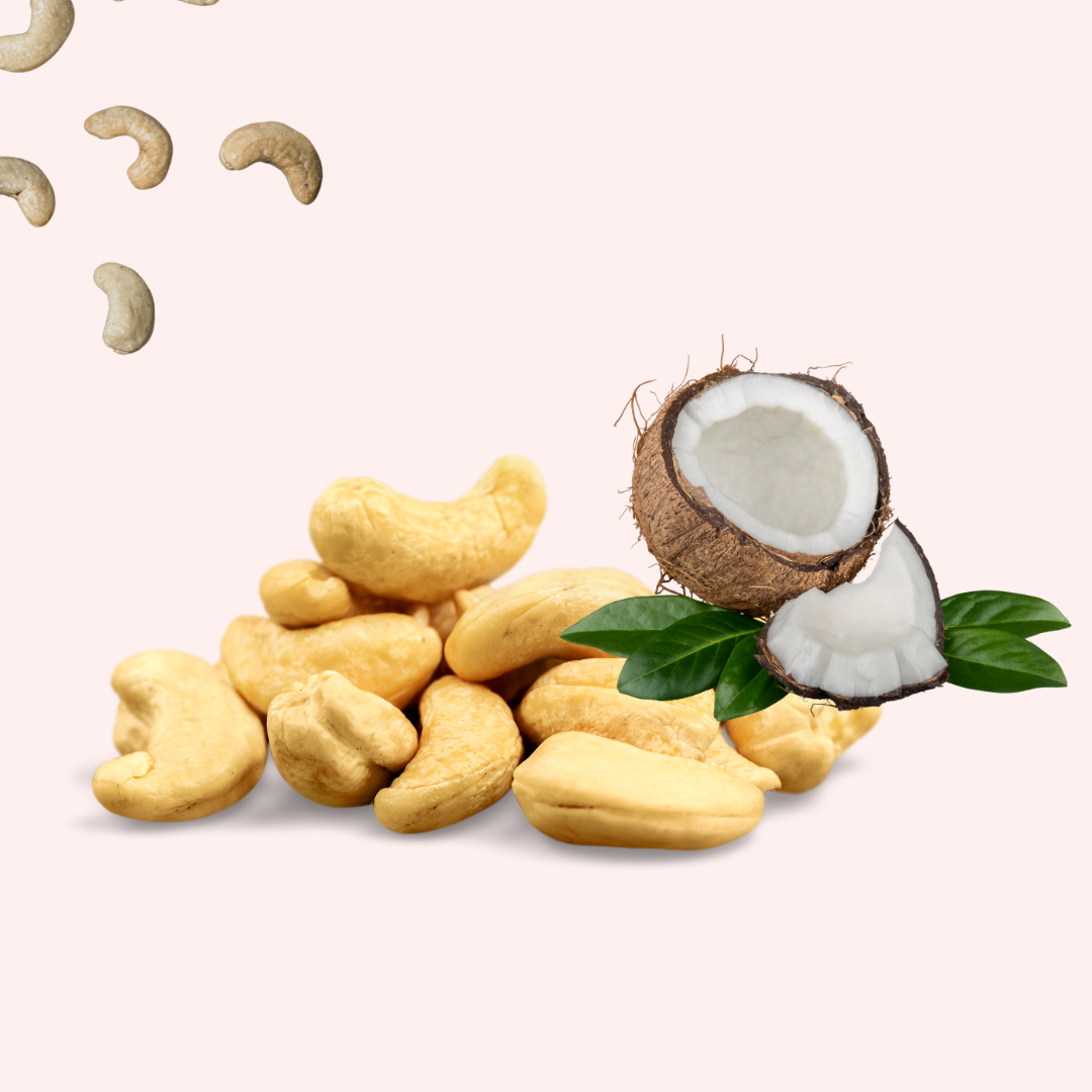Cashew Coconut – Protein Bites